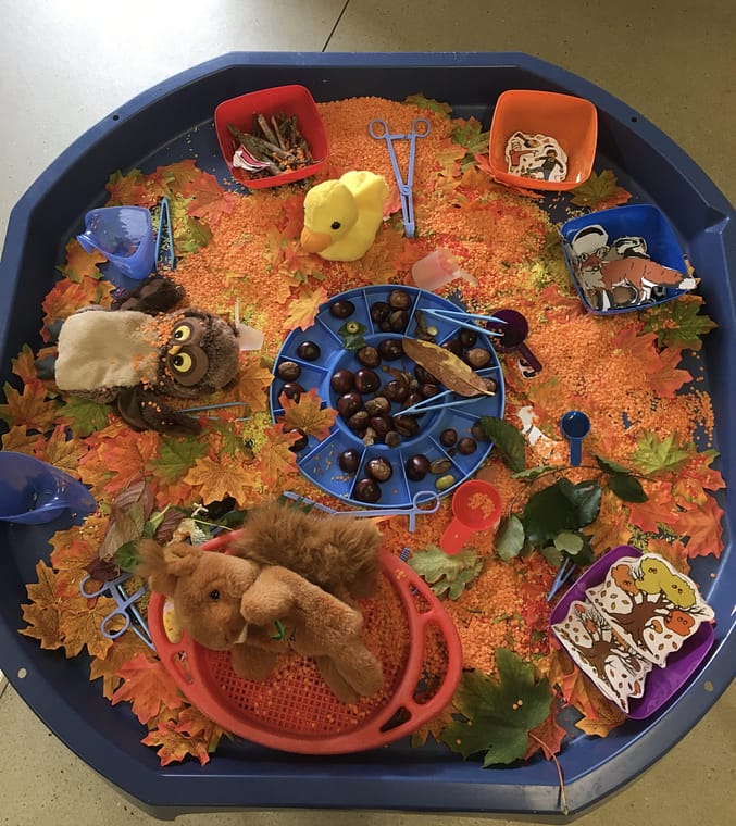 Autumn Sensory Table - Kilkenny Model School